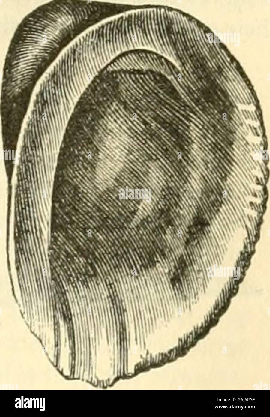 E reynaud hi-res stock photography and images - Alamy