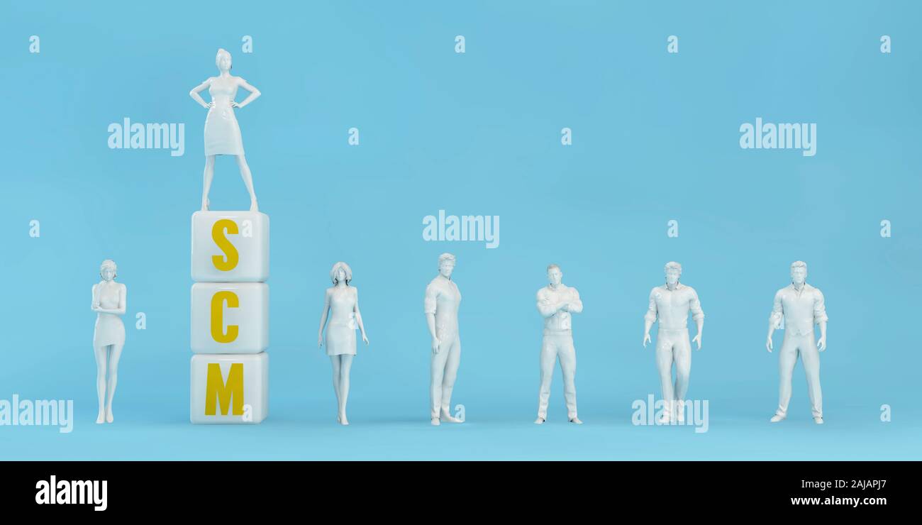 SCM Supply Chain Management Successful Solutions and Services Stock ...