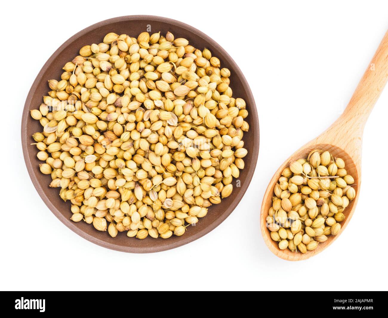 Spice coriander (Coriandrum sativum) in clay plate and wooden spoon ...