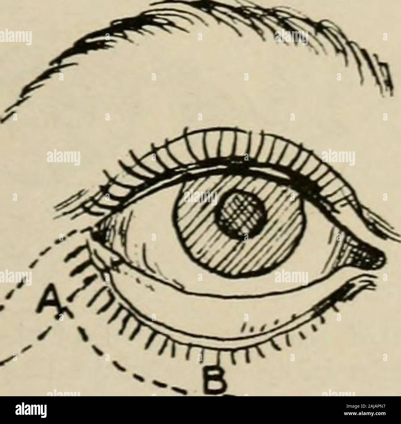 Flap lid b hi-res stock photography and images - Alamy