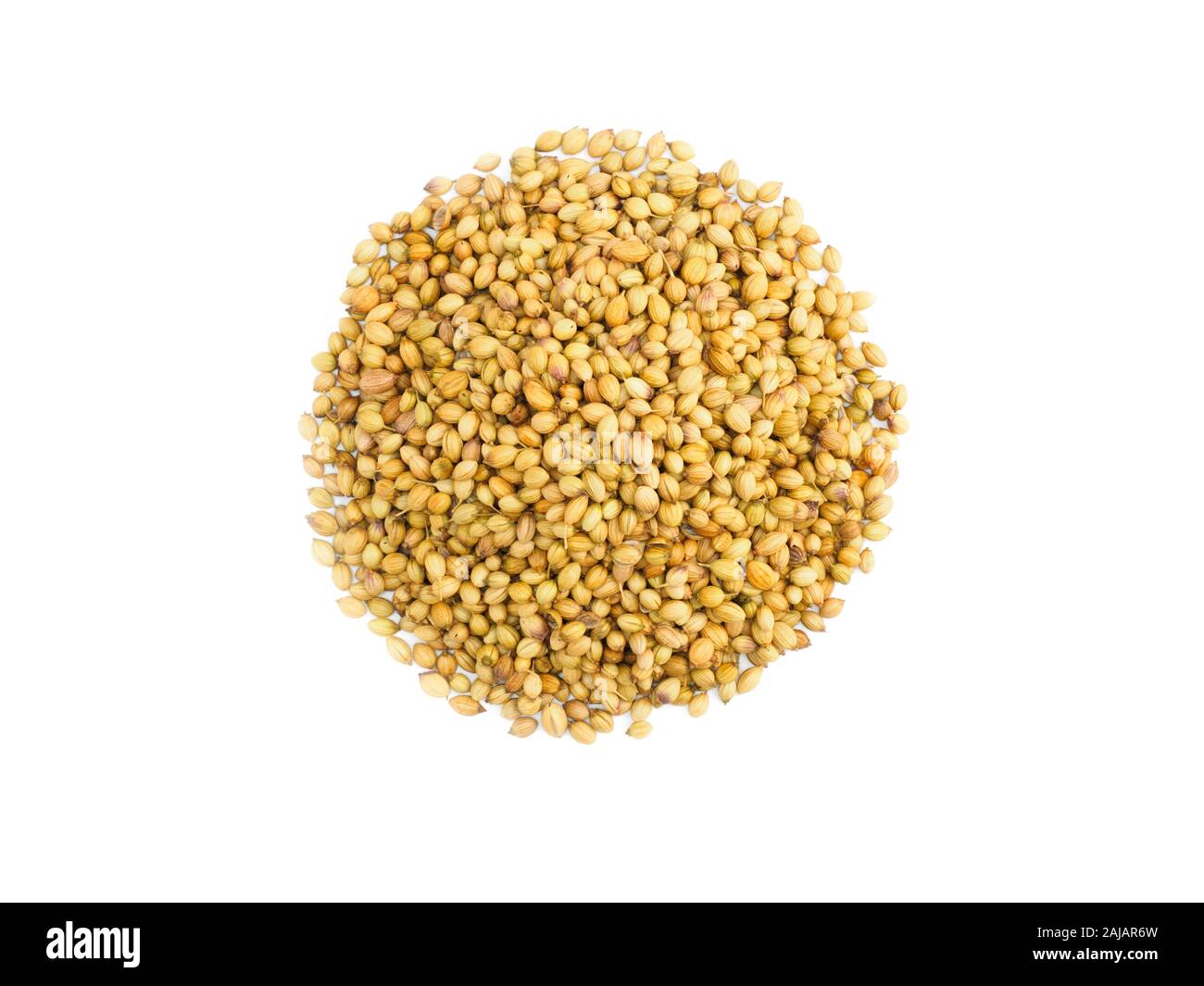 A round bunch of coriander (Coriandrum sativum) seeds on white isolated background. Indian ...