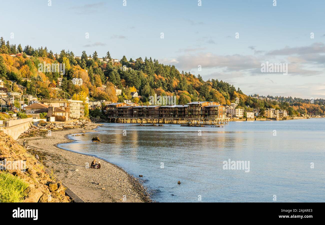 Autumn trees with rich color above the shoreline in West Seattle ...