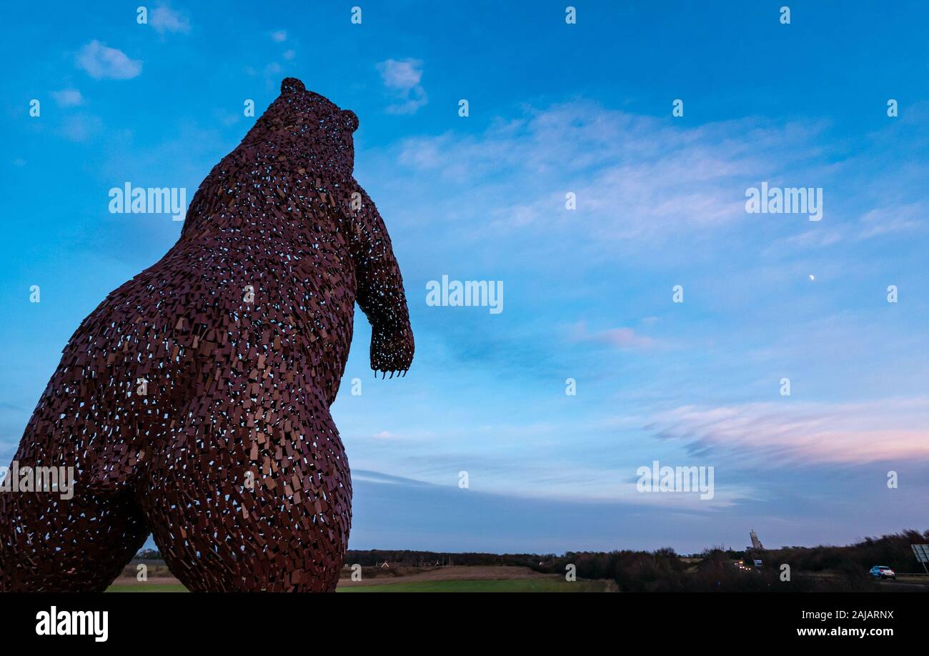 Dunbar bear hi-res stock photography and images - Alamy