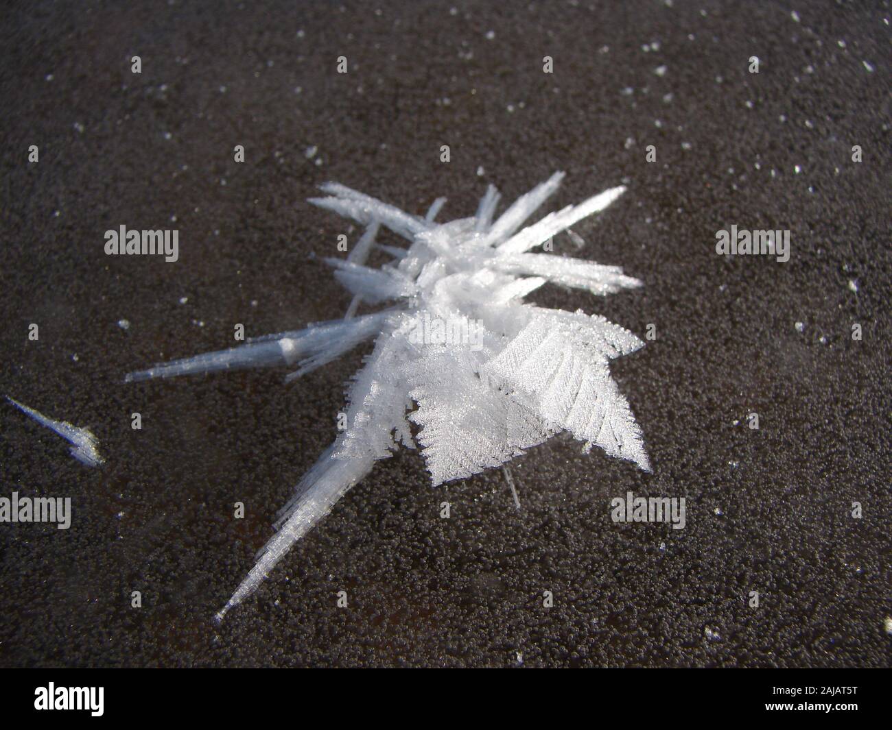 close up photo of snowflake Stock Photo - Alamy