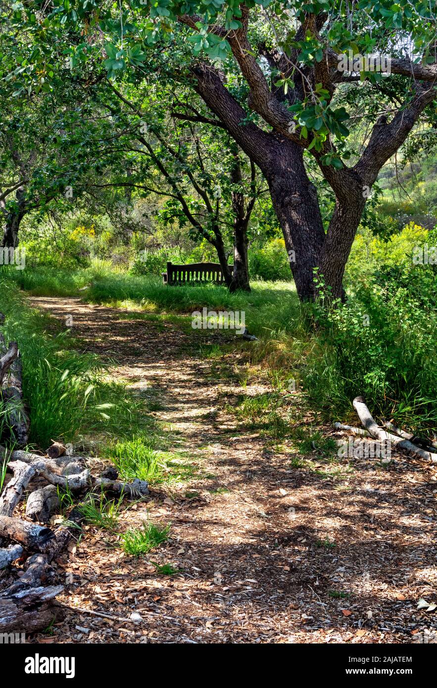 Wooded path leads to a park bench in the hills of Southern California ...