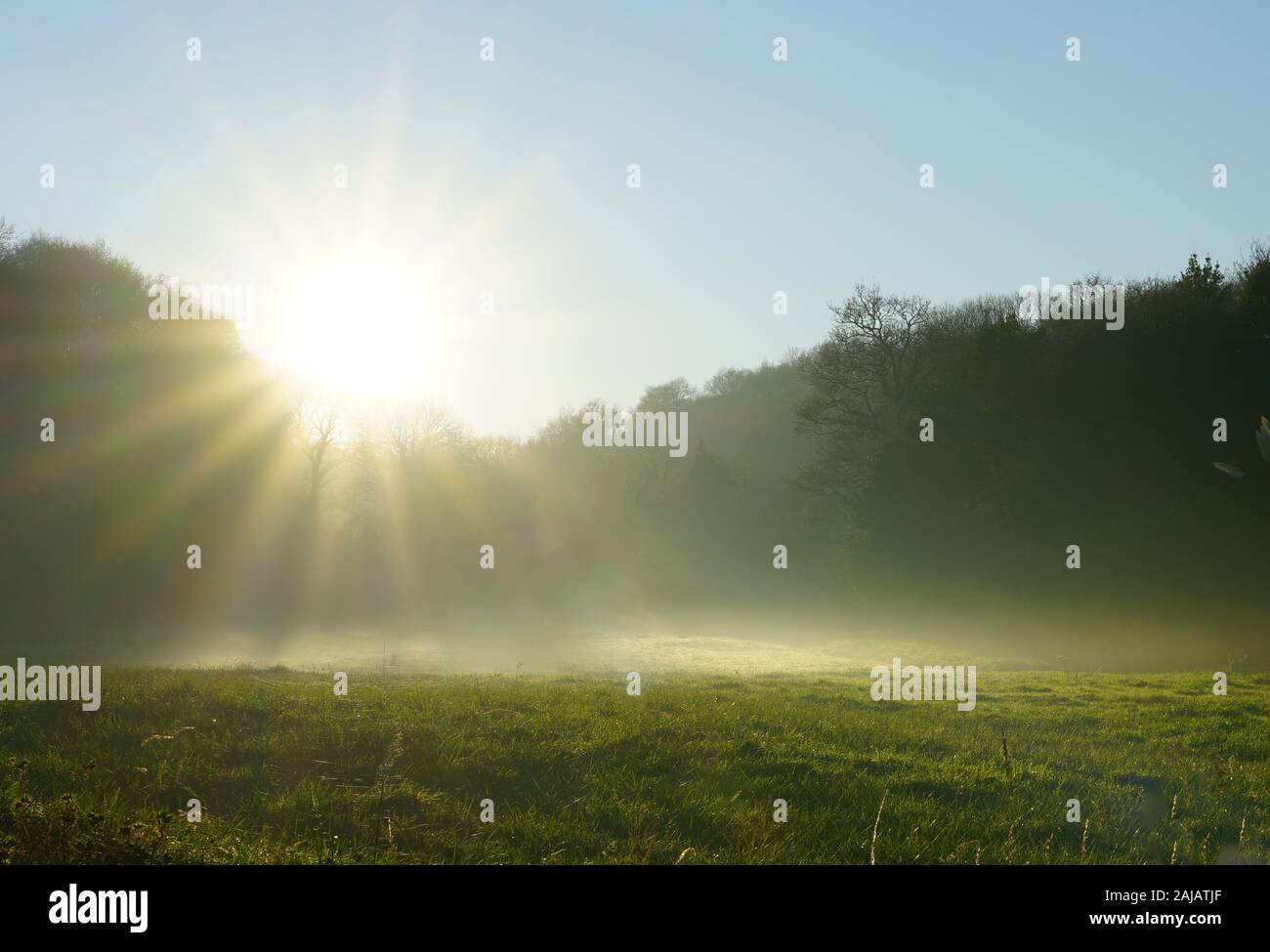 Sunrays through fog over a green grass field in Brittany, France Stock ...