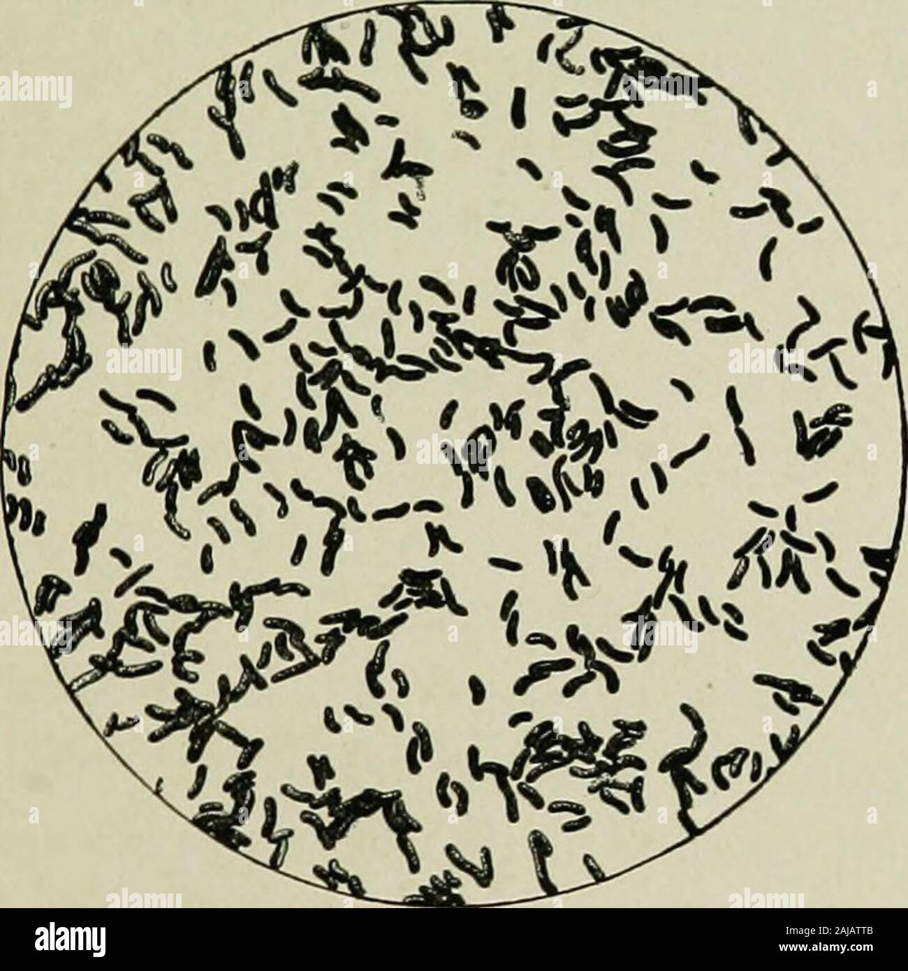 Culturemedia hi-res stock photography and images - Alamy