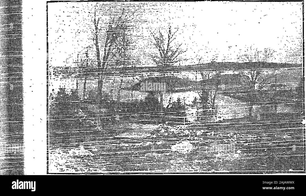 Bursting buds Black and White Stock Photos & Images - Alamy