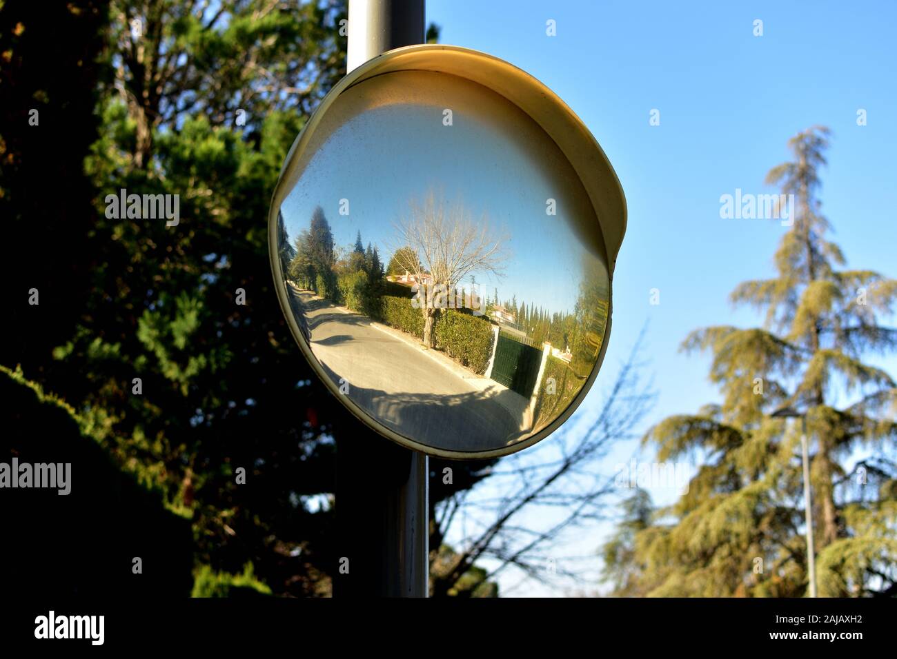Street lighting tree hi-res stock photography and images - Alamy