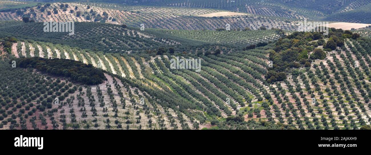 agricultural landscapes of southern Spain Stock Photo - Alamy