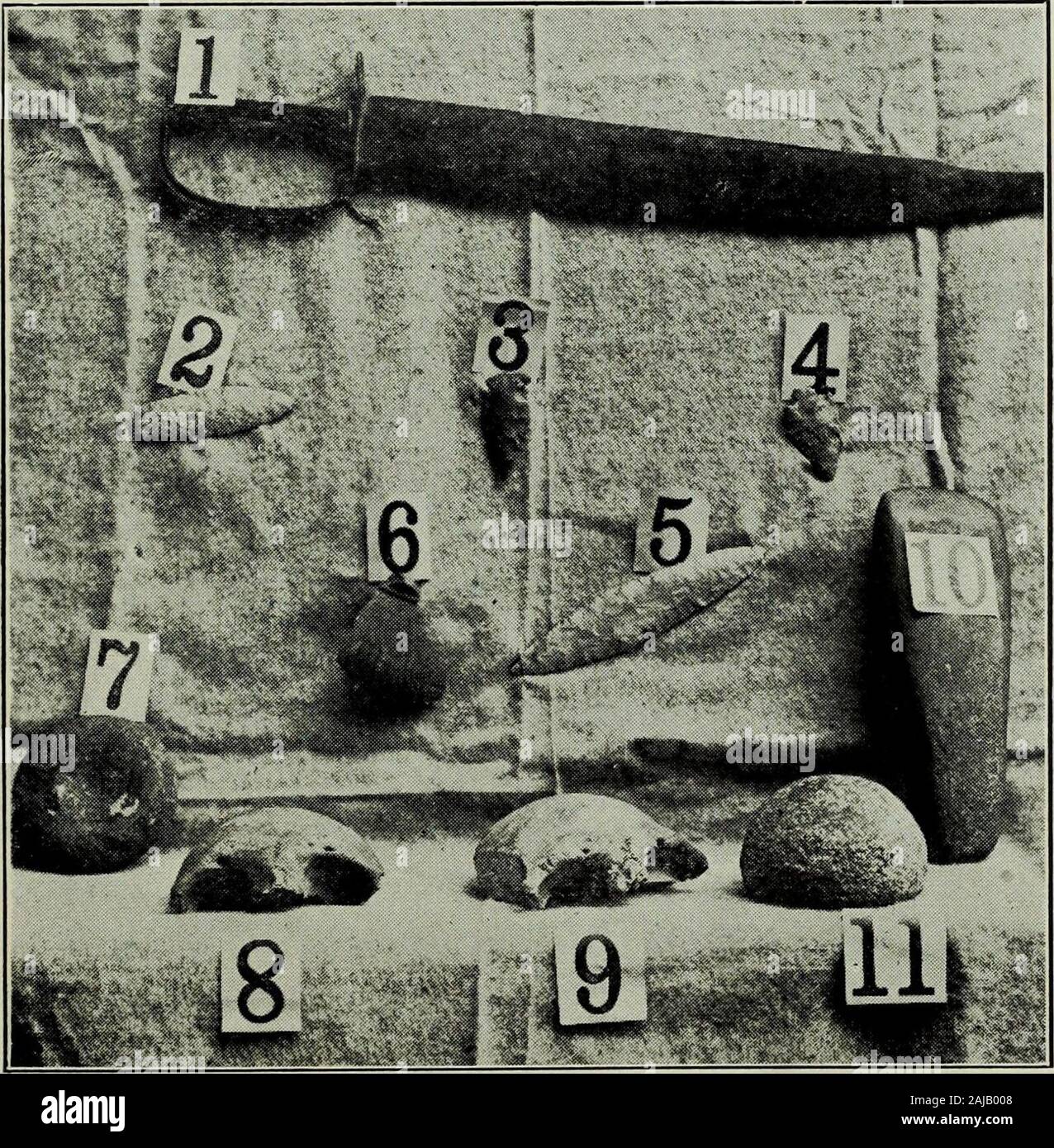 Avar people hi-res stock photography and images - Alamy