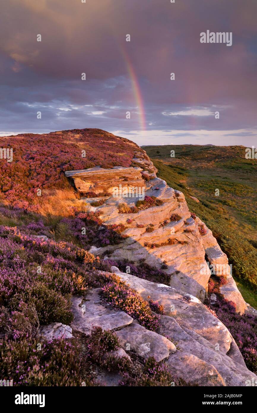 A blanket of purple heather in the late evening light on the rock crags ...