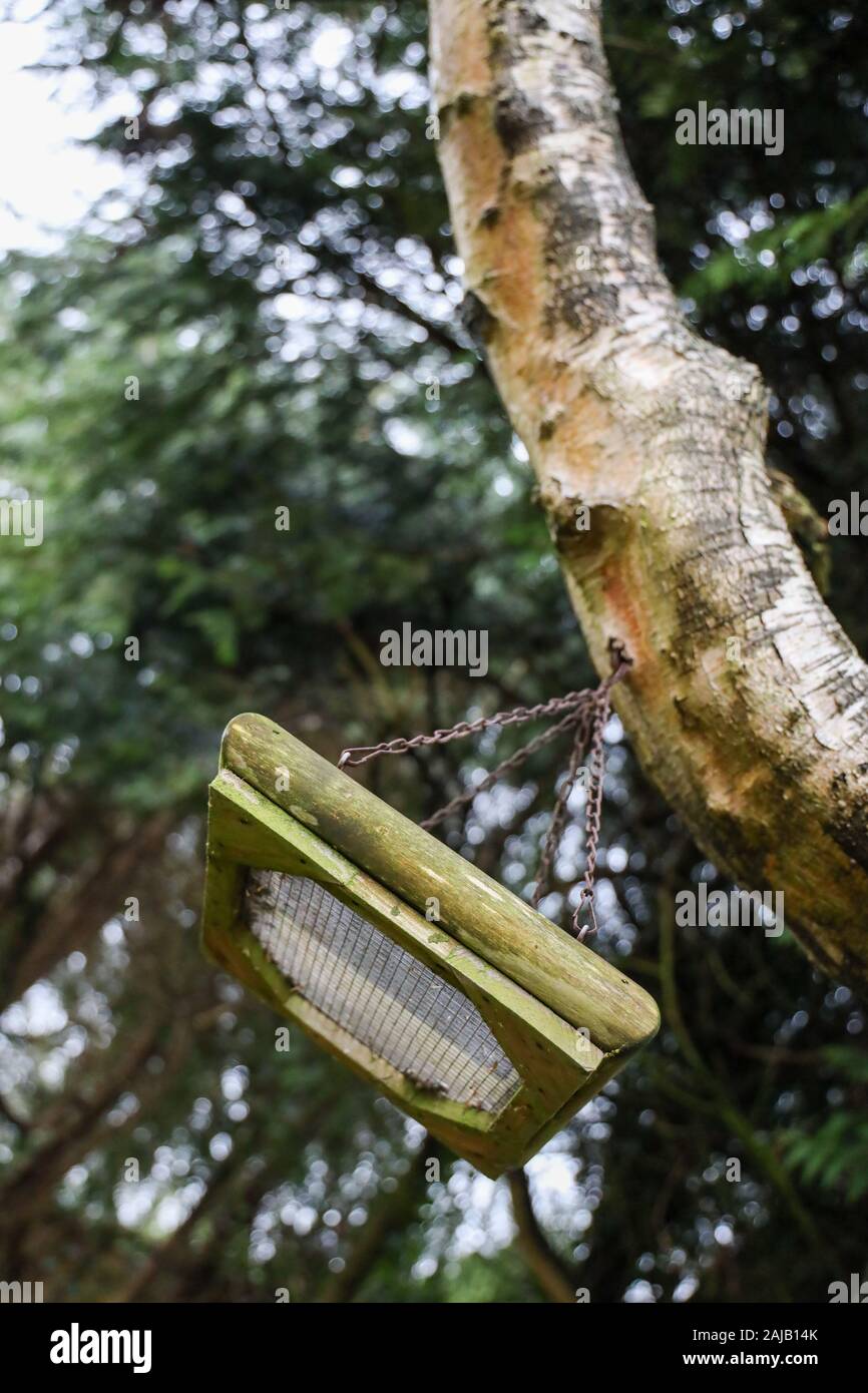 Hanging bird table hi-res stock photography and images - Alamy