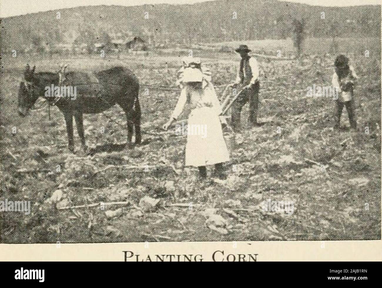 Squatters cabin hi-res stock photography and images - Alamy