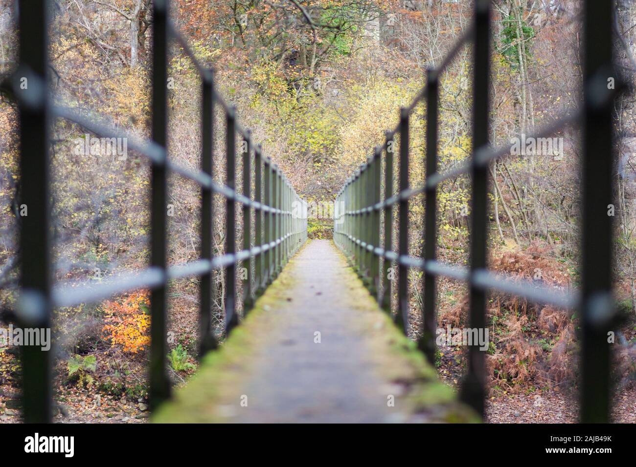 Footbridge with iron railings near Lambley Viaduct over the River Tyne ...