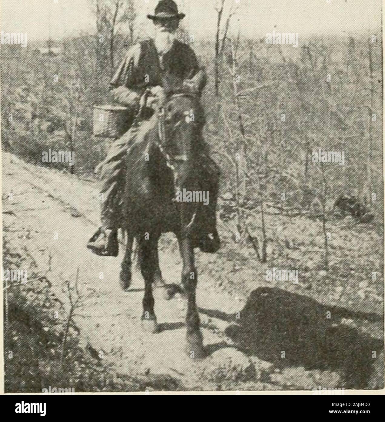 1763 1780 hi-res stock photography and images - Alamy