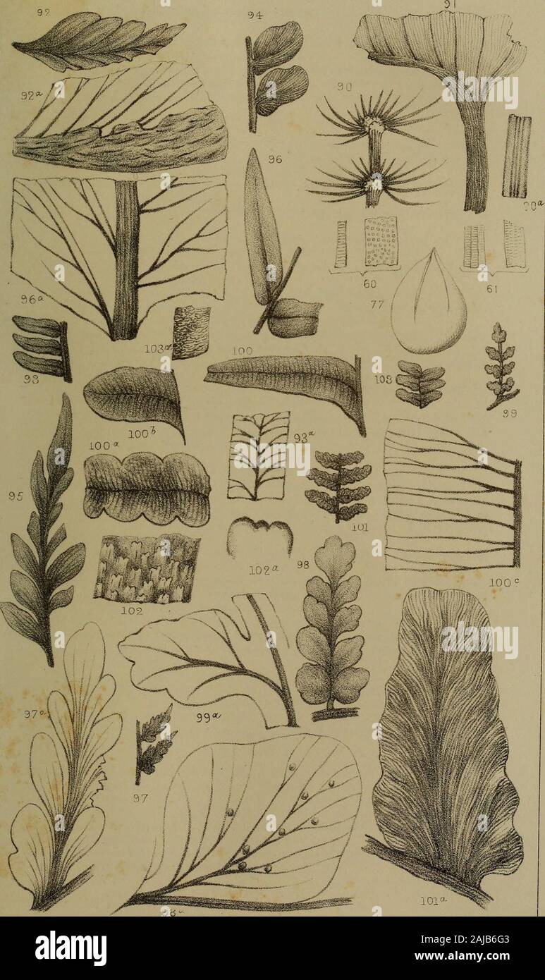 Pli plat hi-res stock photography and images - Alamy