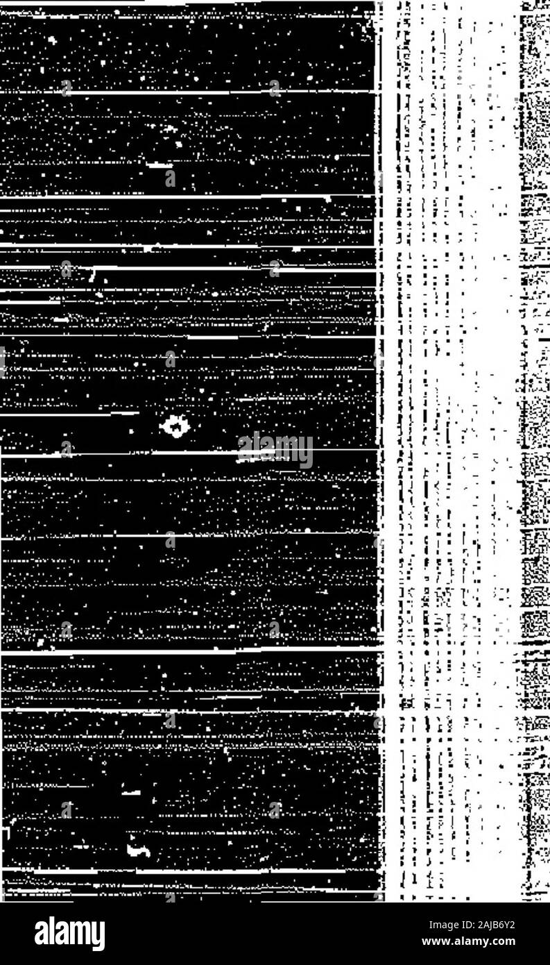 The War Cry Stock Photo - Alamy