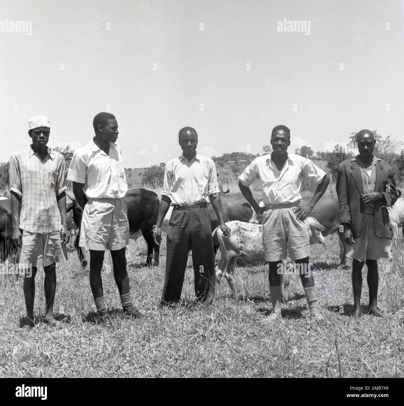 1950s, historical, local African farmers outside standing on grassland ...