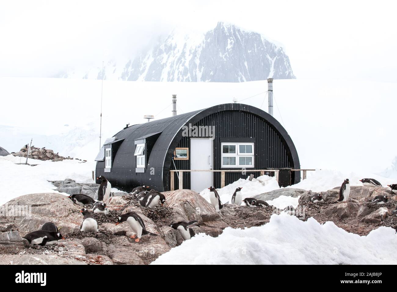 Penguin post office hi-res stock photography and images - Alamy