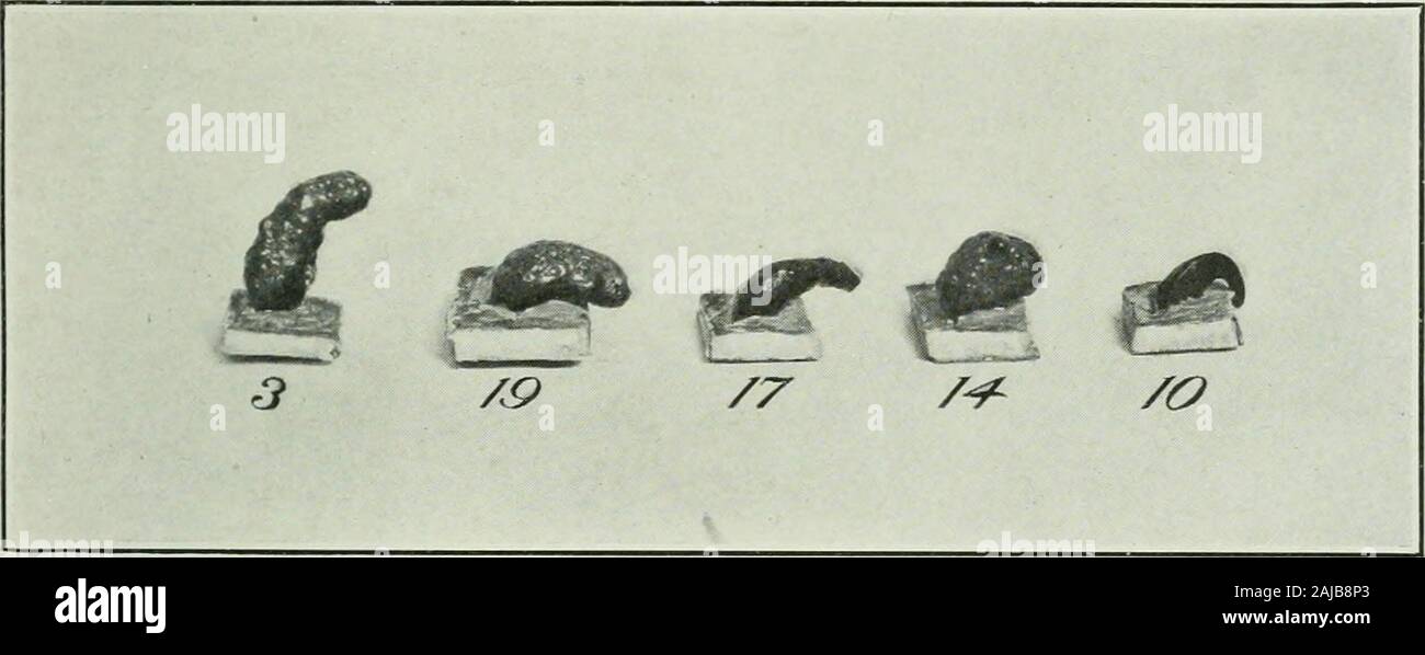 Bulletin . A. TYPICAL FORMS OF CONES FUSED IN AIR IN THE PLATINUM ...