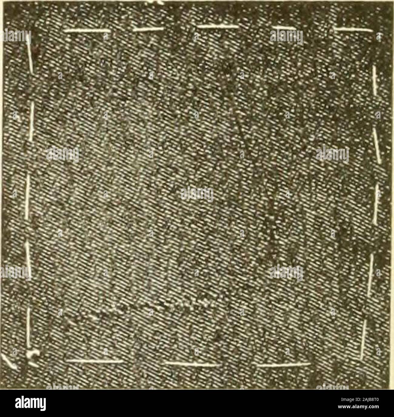 The new dressmaker; with complete and fully illustrated instructions on ...