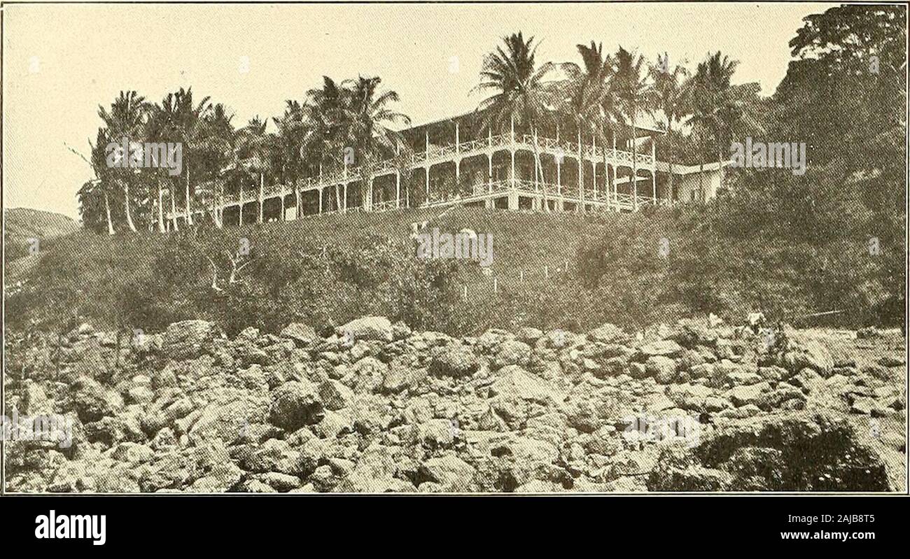 Panama and the canal in picture and prose .. . IN THE GROUNDS OF ANCON ...