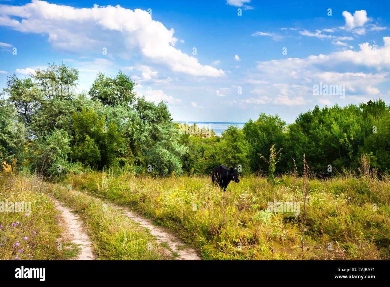 Cherkasy hi-res stock photography and images - Alamy