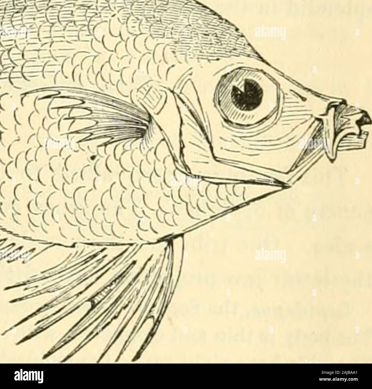 Compressed form hi-res stock photography and images - Alamy