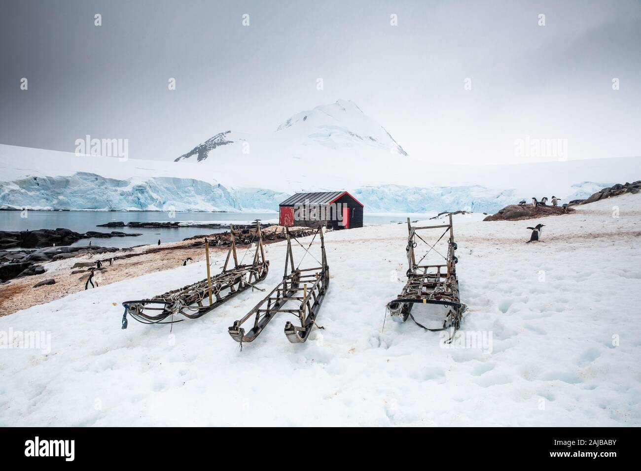Wooden sledges at Port Lockroy (penguin post office), Antarctica Stock ...