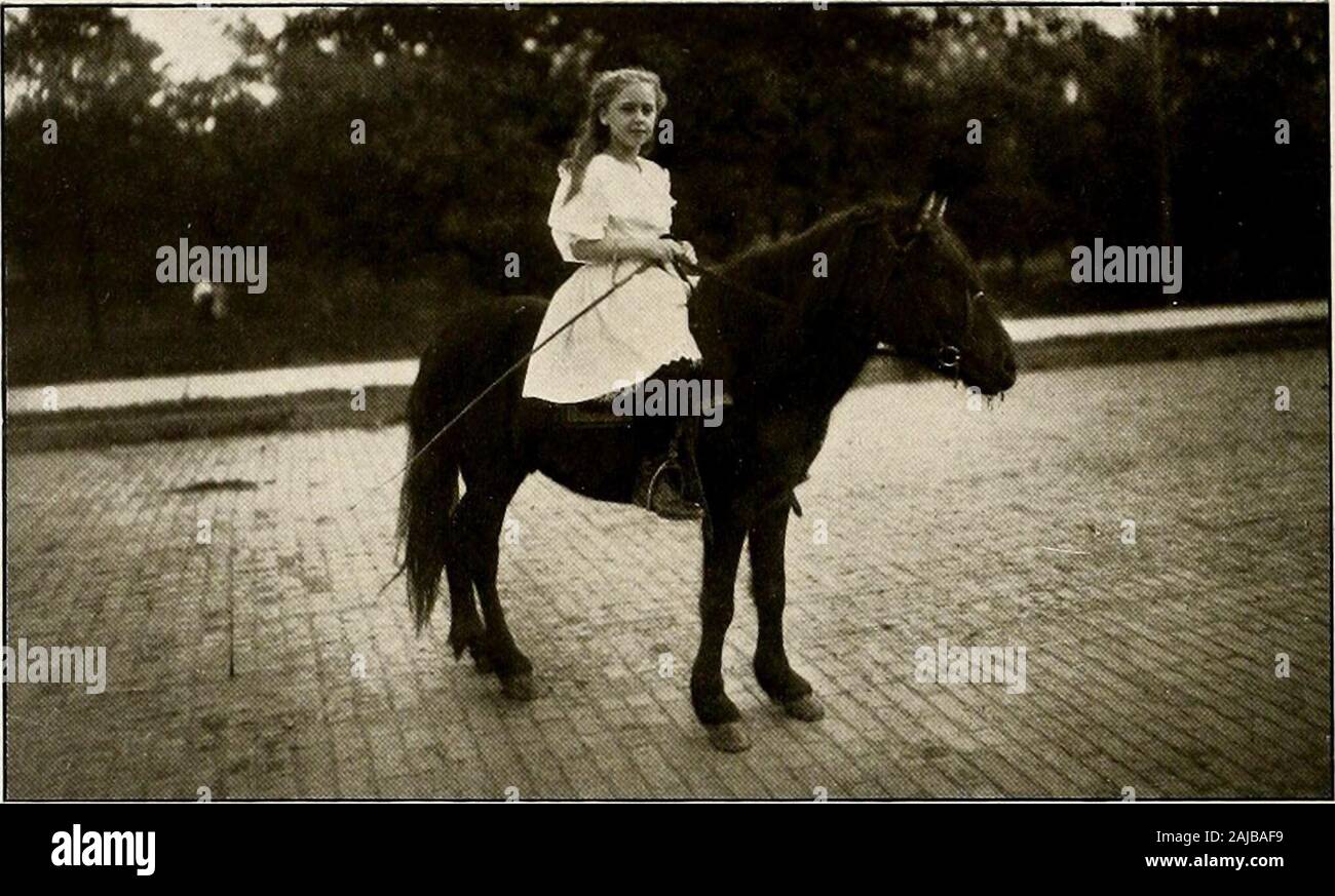 Little miss washington hi-res stock photography and images - Alamy