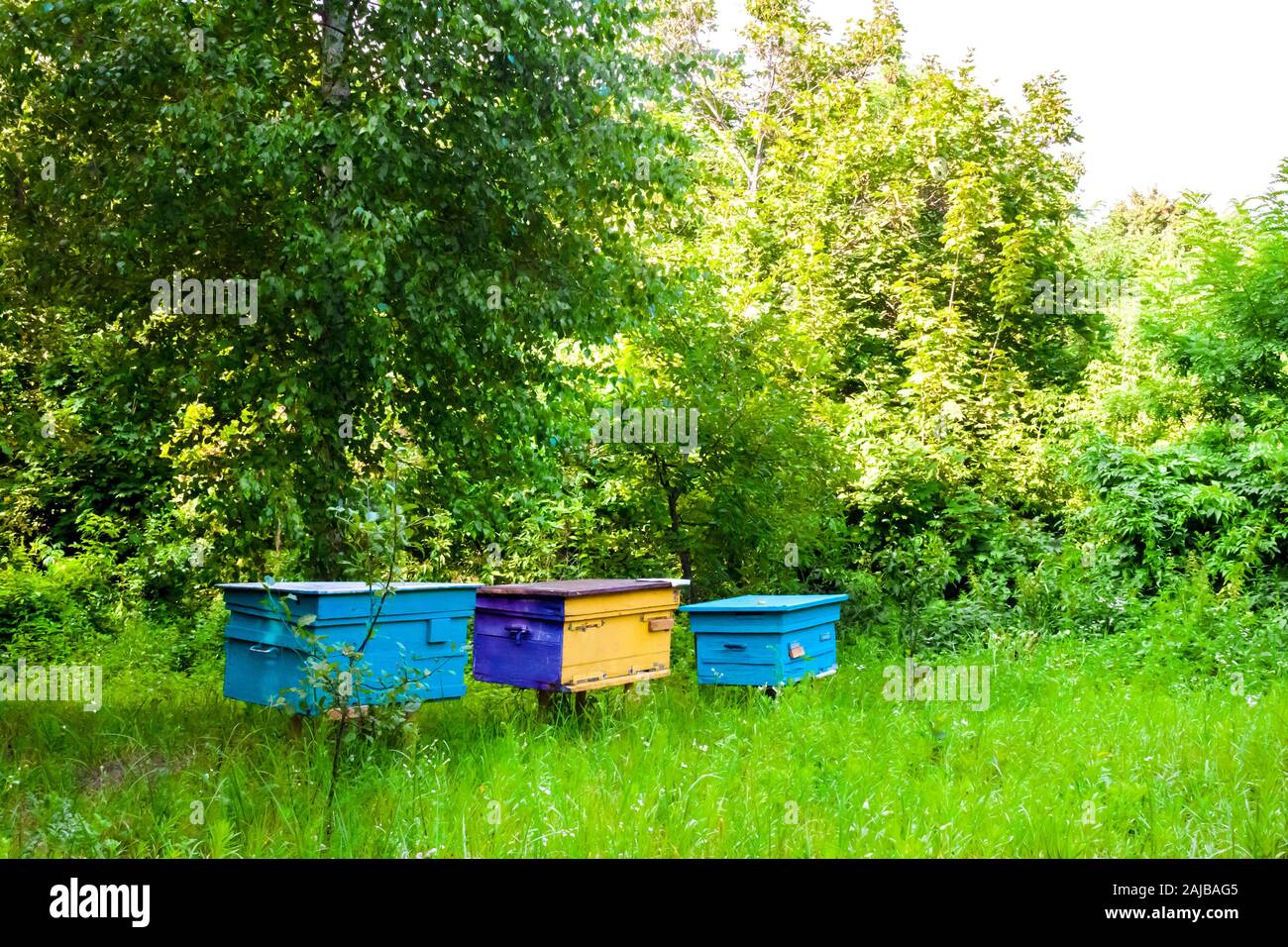 Apiary garden hi-res stock photography and images - Alamy