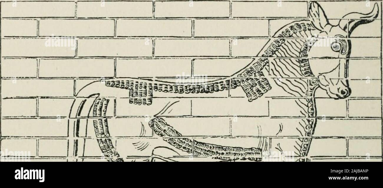 A history of Babylon from the foundation of the monarchy to the Persian ...