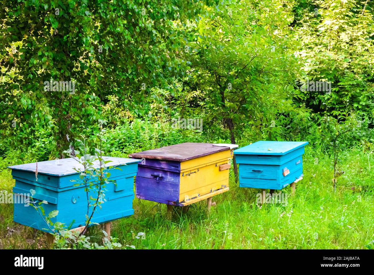 Apiary garden hi-res stock photography and images - Alamy