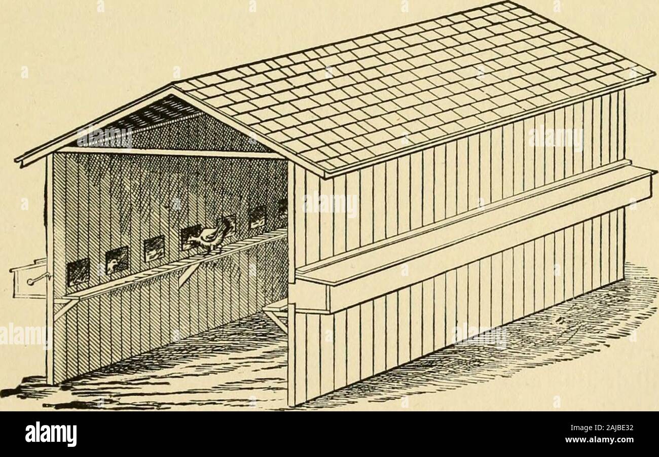 Farms in egypt hi-res stock photography and images - Alamy