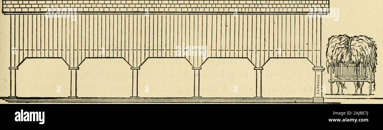 Buff scales hi-res stock photography and images - Alamy