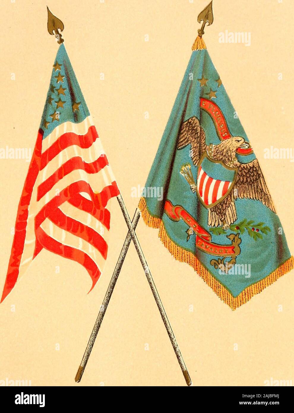 Flags of the Army of the United States carried during the War of the ...