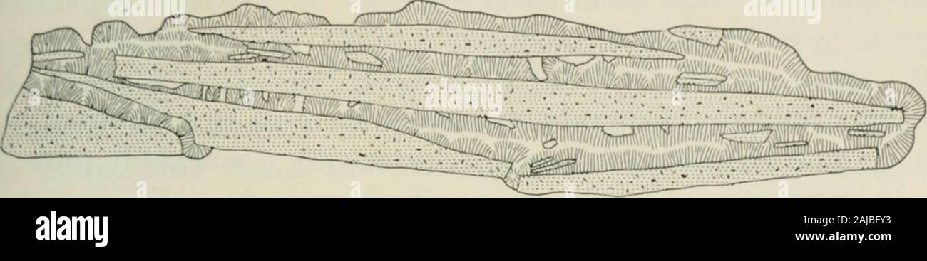 Zinc arkansas hi-res stock photography and images - Alamy