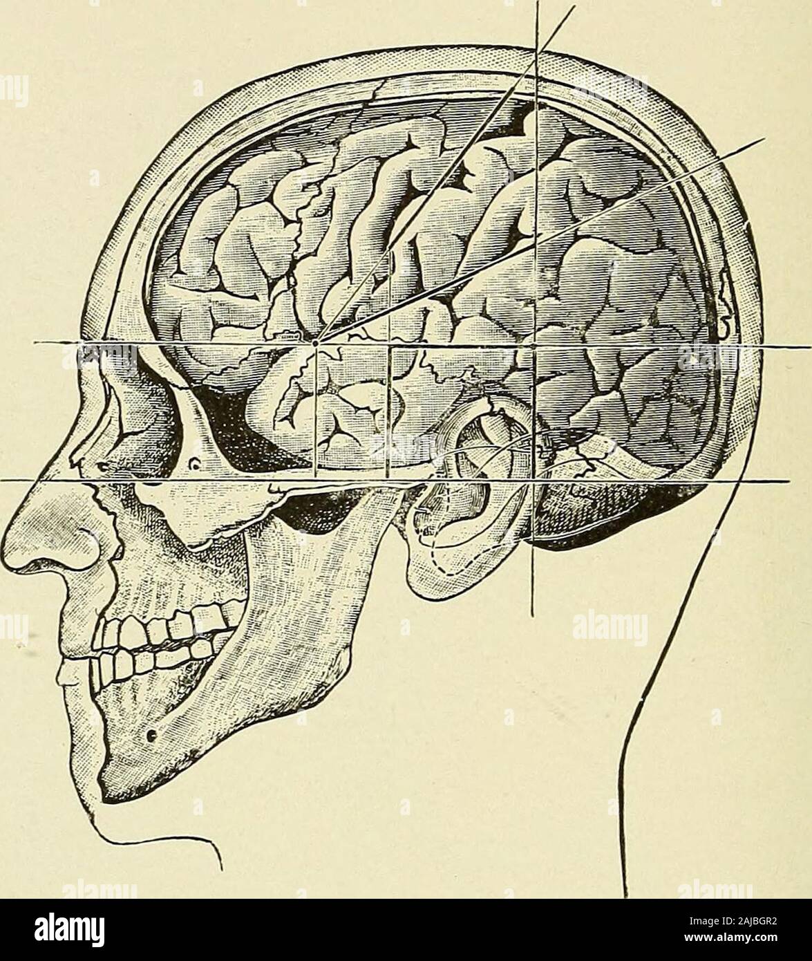Silver nitrate method hi-res stock photography and images - Alamy
