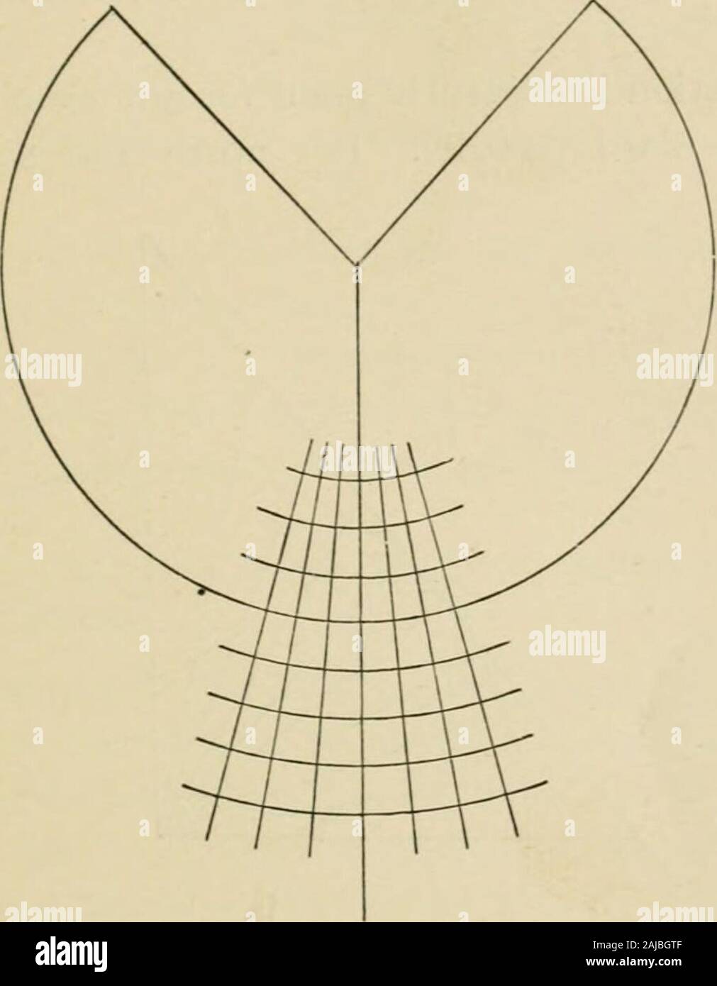 Map projections . e of one-millionth, the length of the complete ...