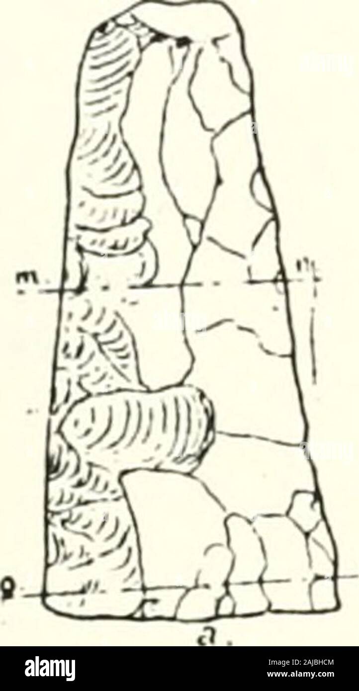 Sze long hi-res stock photography and images - Alamy