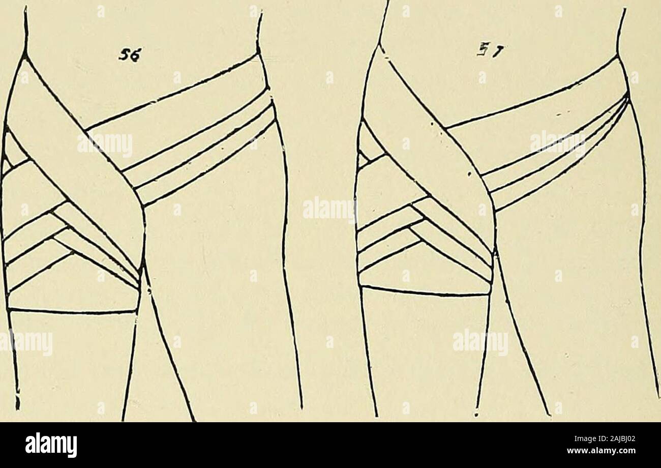 Semi flexed hi-res stock photography and images - Alamy