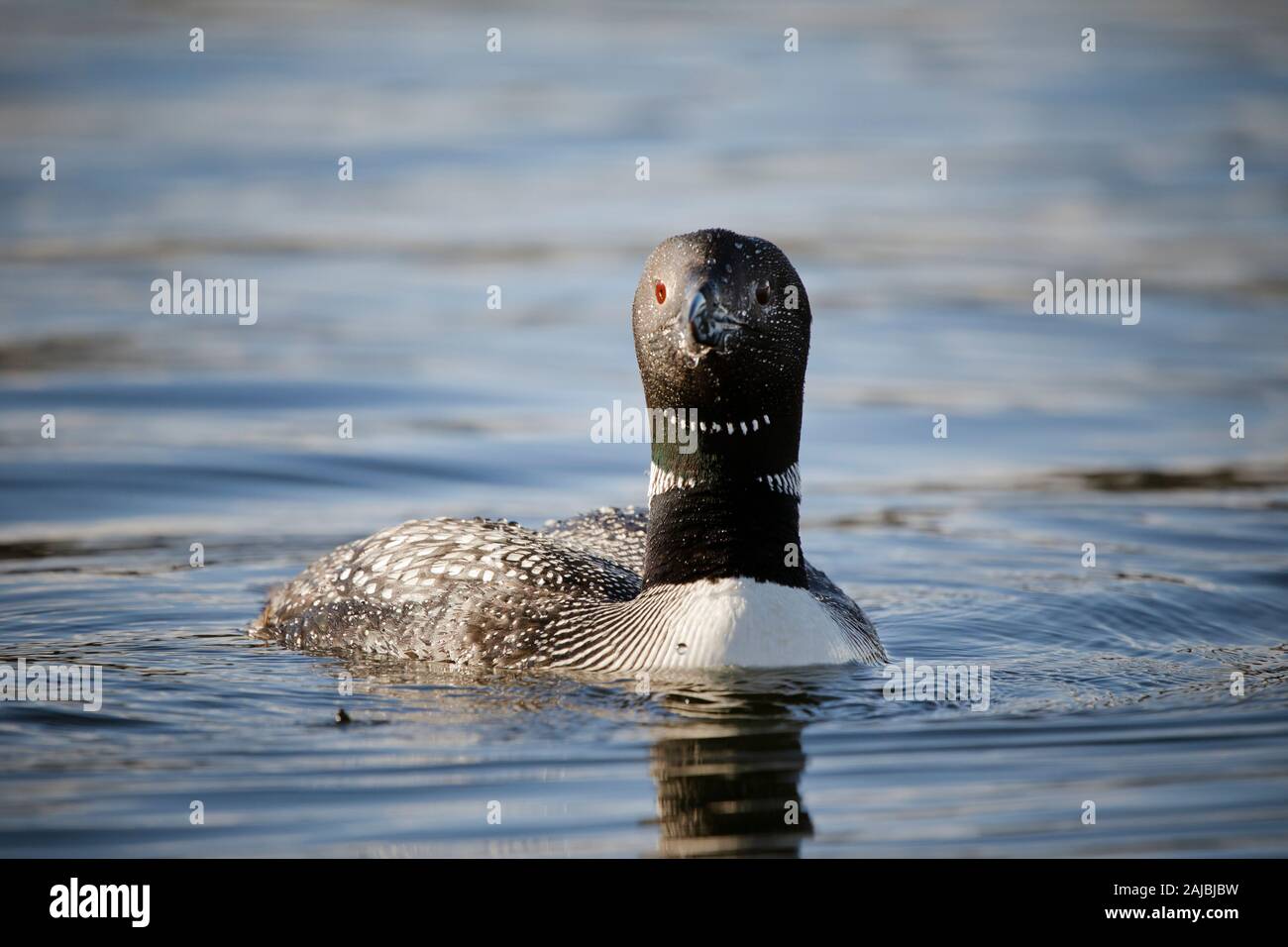 Floating camera hi-res stock photography and images - Alamy