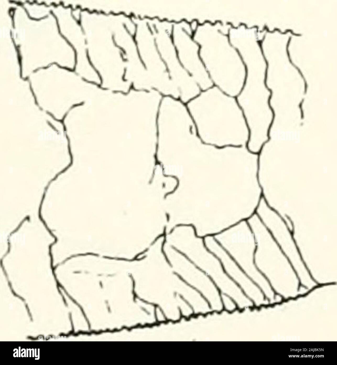 Archaic objects . 1*310 Stock Photo - Alamy