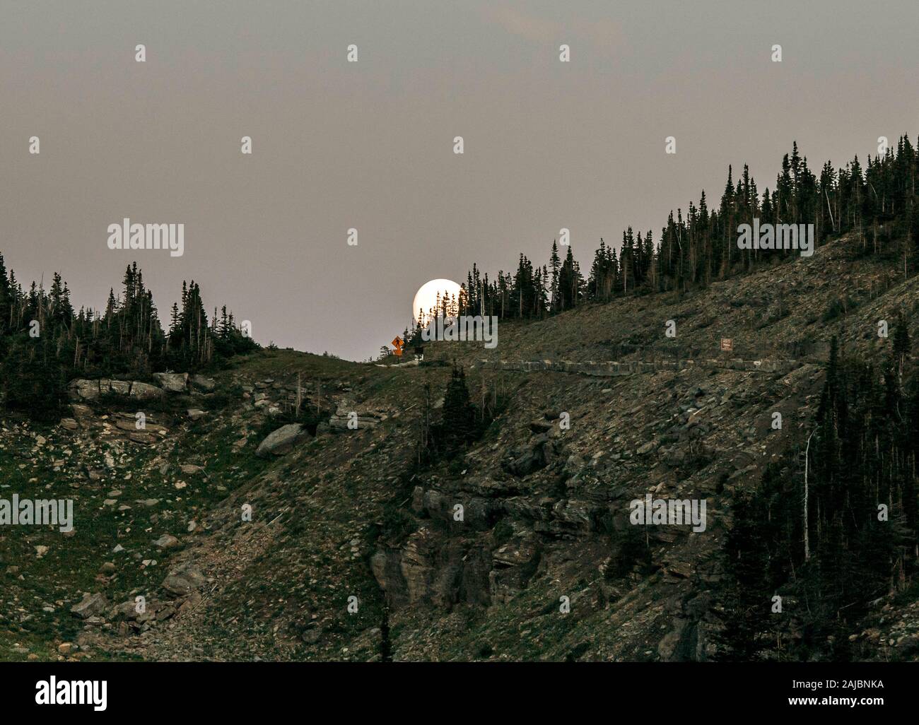 Full moon dusk pine hi-res stock photography and images - Alamy