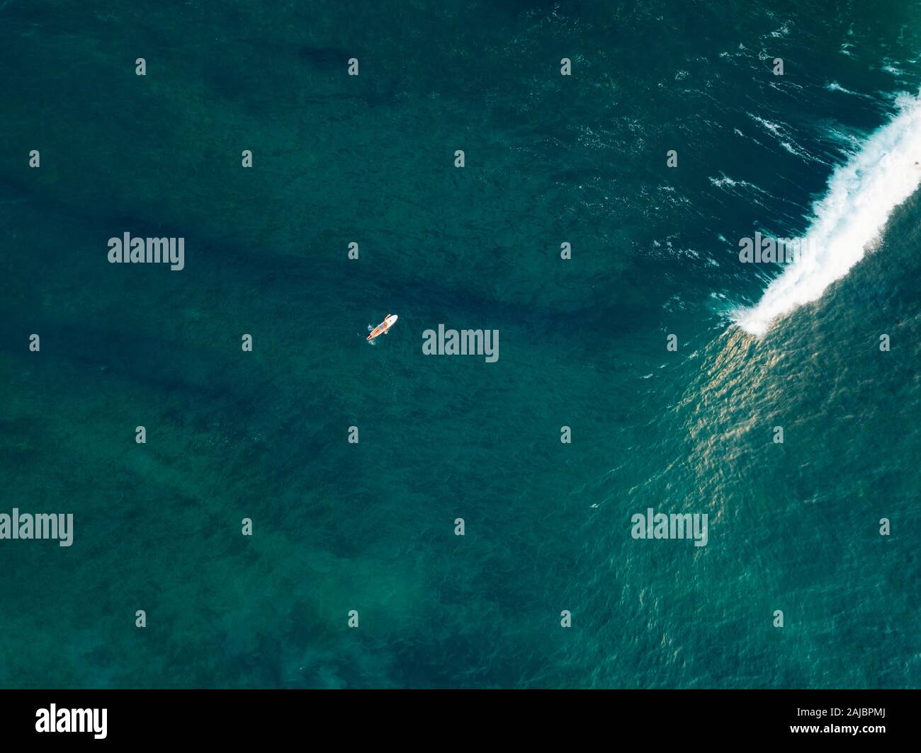 Aerial view of surfer in the ocean Stock Photo - Alamy