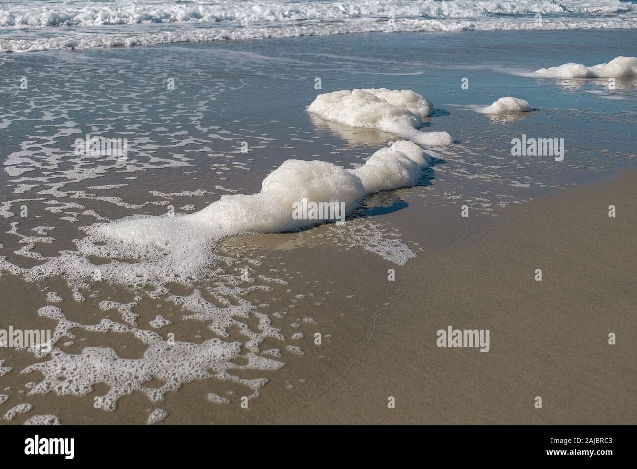 Polluted chemical sea foam on wild sea coast ecosystem,pollution ...