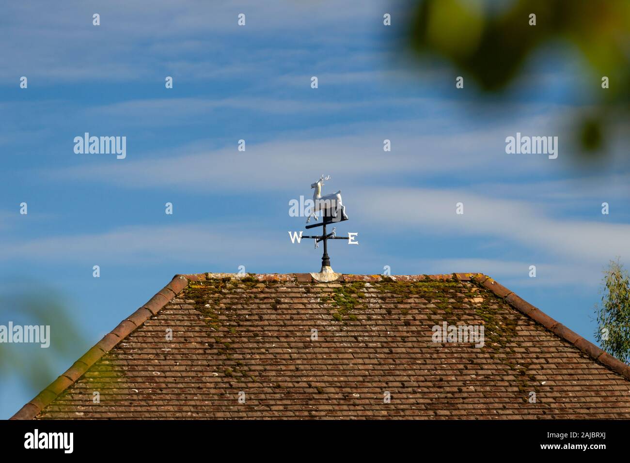 Stag house hi-res stock photography and images - Alamy