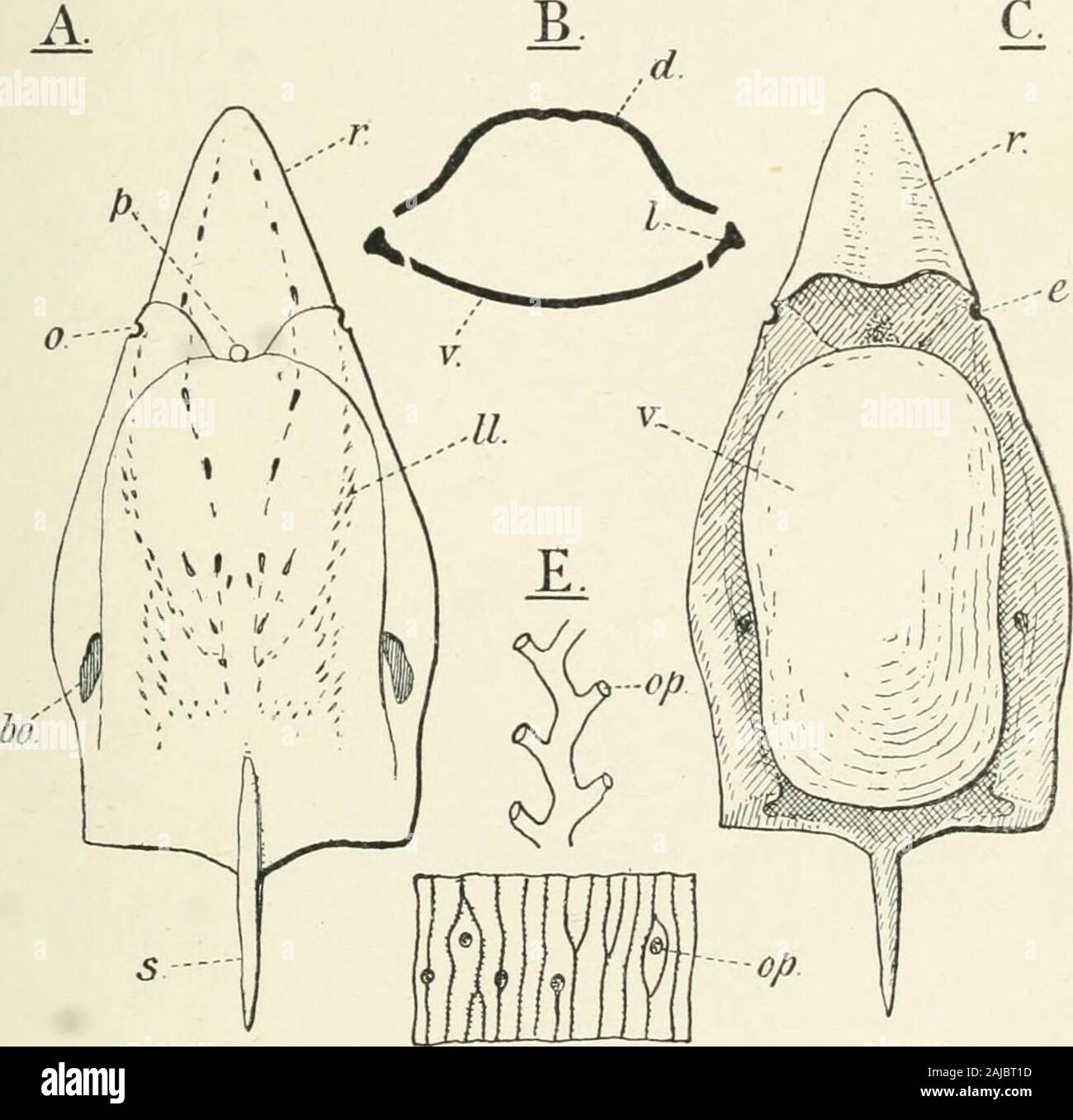 Orbital plates hi-res stock photography and images - Alamy