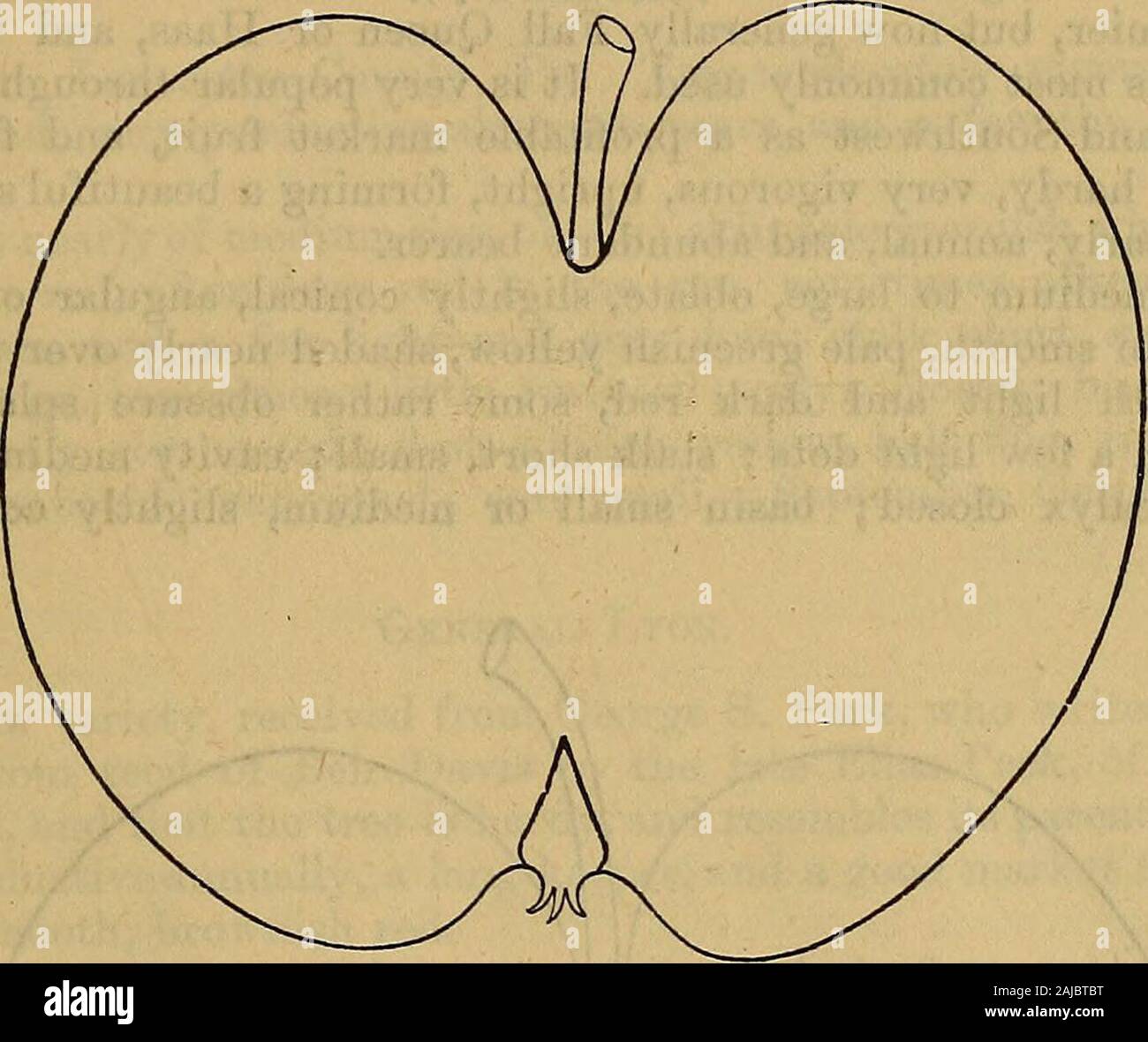 Orchardtree hi-res stock photography and images - Alamy